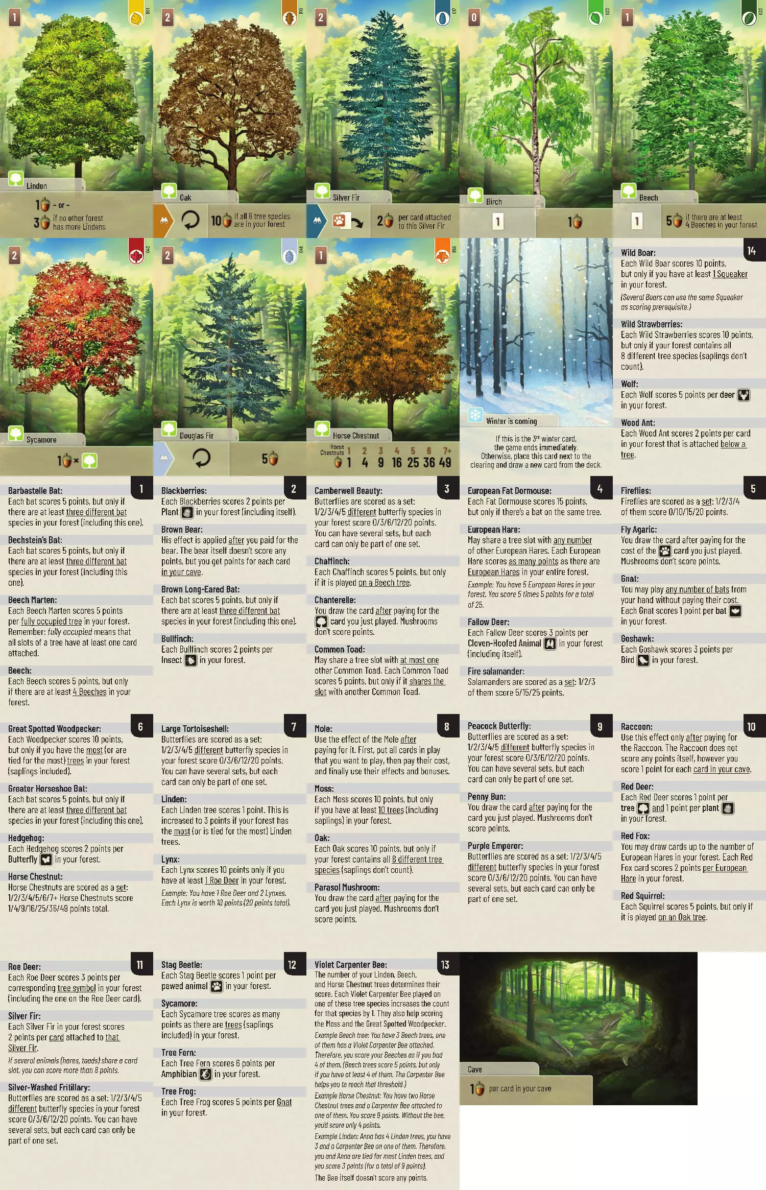 Tree species? | Forest Shuffle