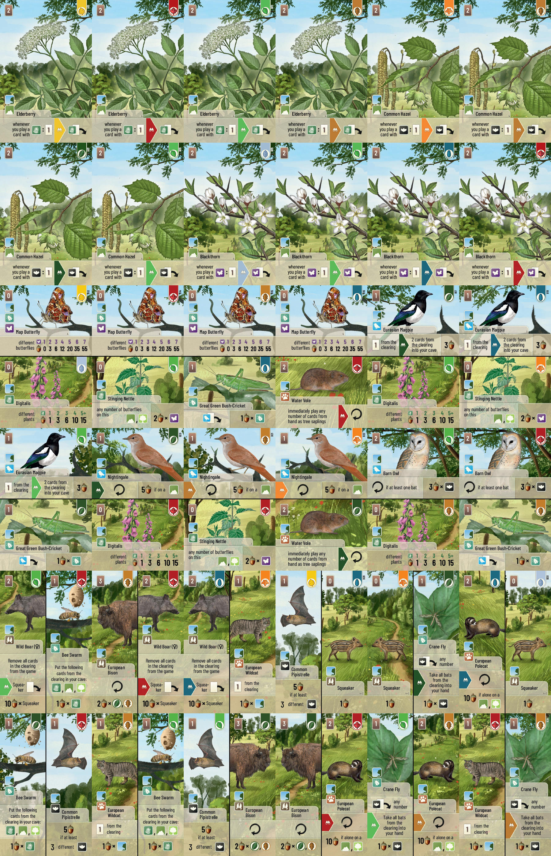 Card list | Forest Shuffle